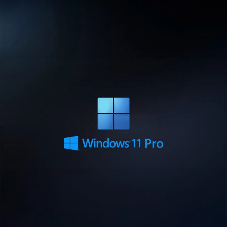 Windows 11 Pro FPP P2 32-Bit/64-Bit Eng Intl USB (HAV-00163)