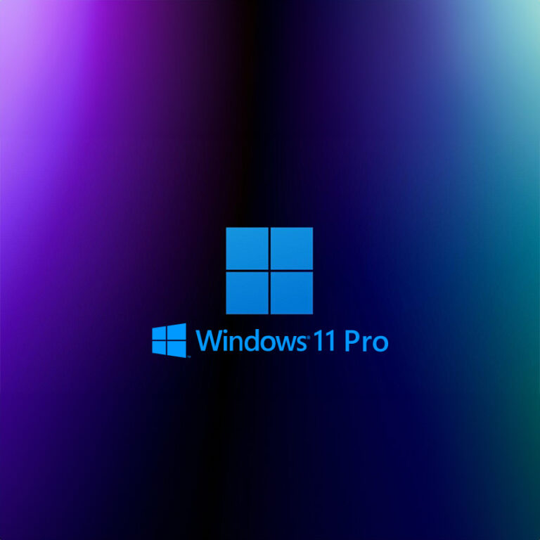Windows 11 Pro FPP P2 32-Bit/64-Bit Eng Intl USB (HAV-00163)